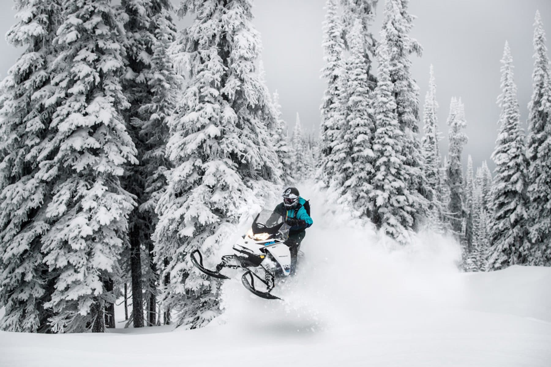 2019 Ski-Doo Snowmobile Lineup for Mountain Riders