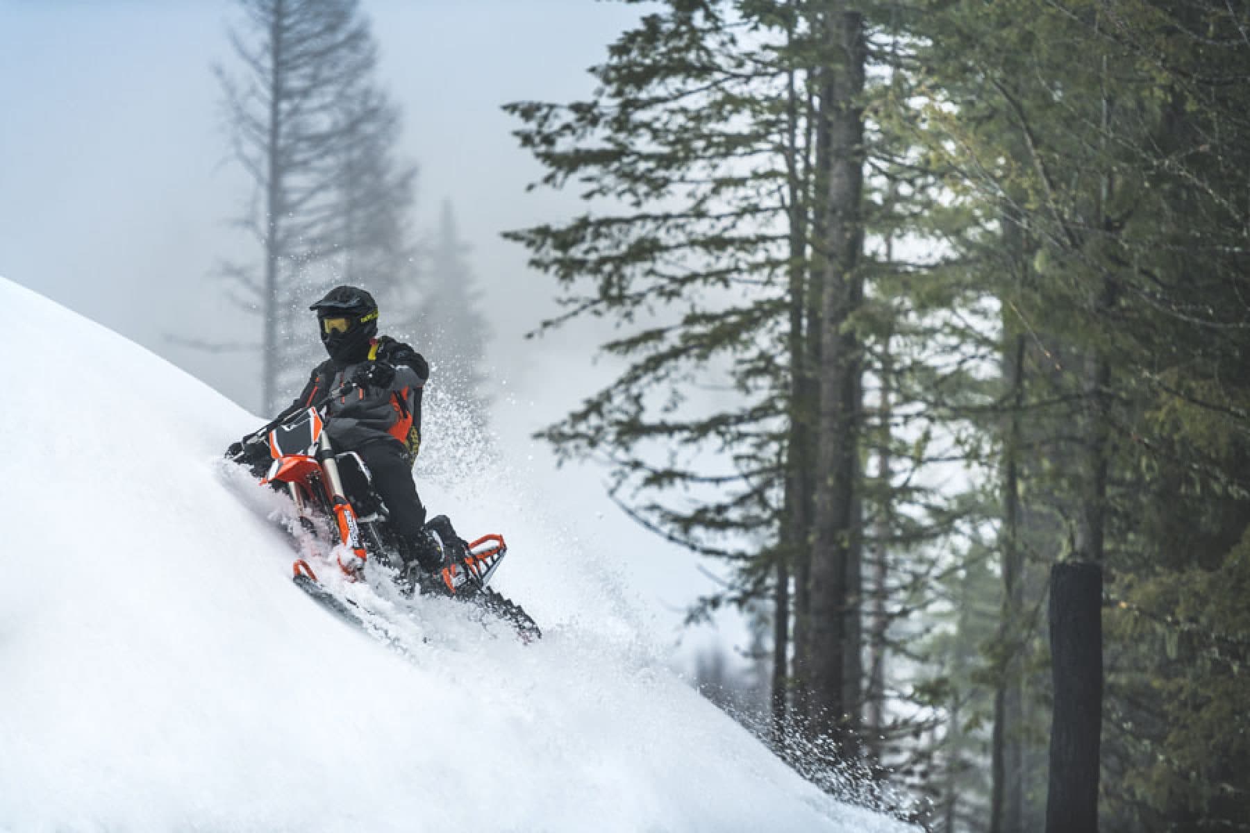 What's New for 2019 Timbersled Snow Bike Kit Lineup