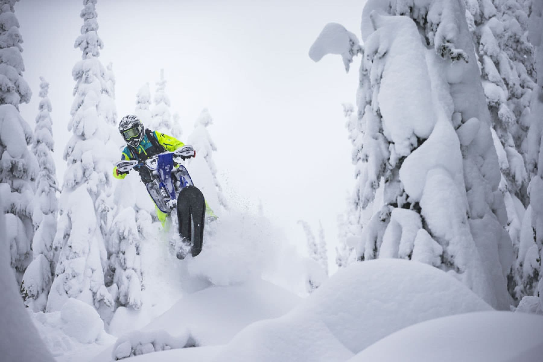 2019 YETI SnowMX Snowcheck Program offers Custom Upgrade and Colour Options