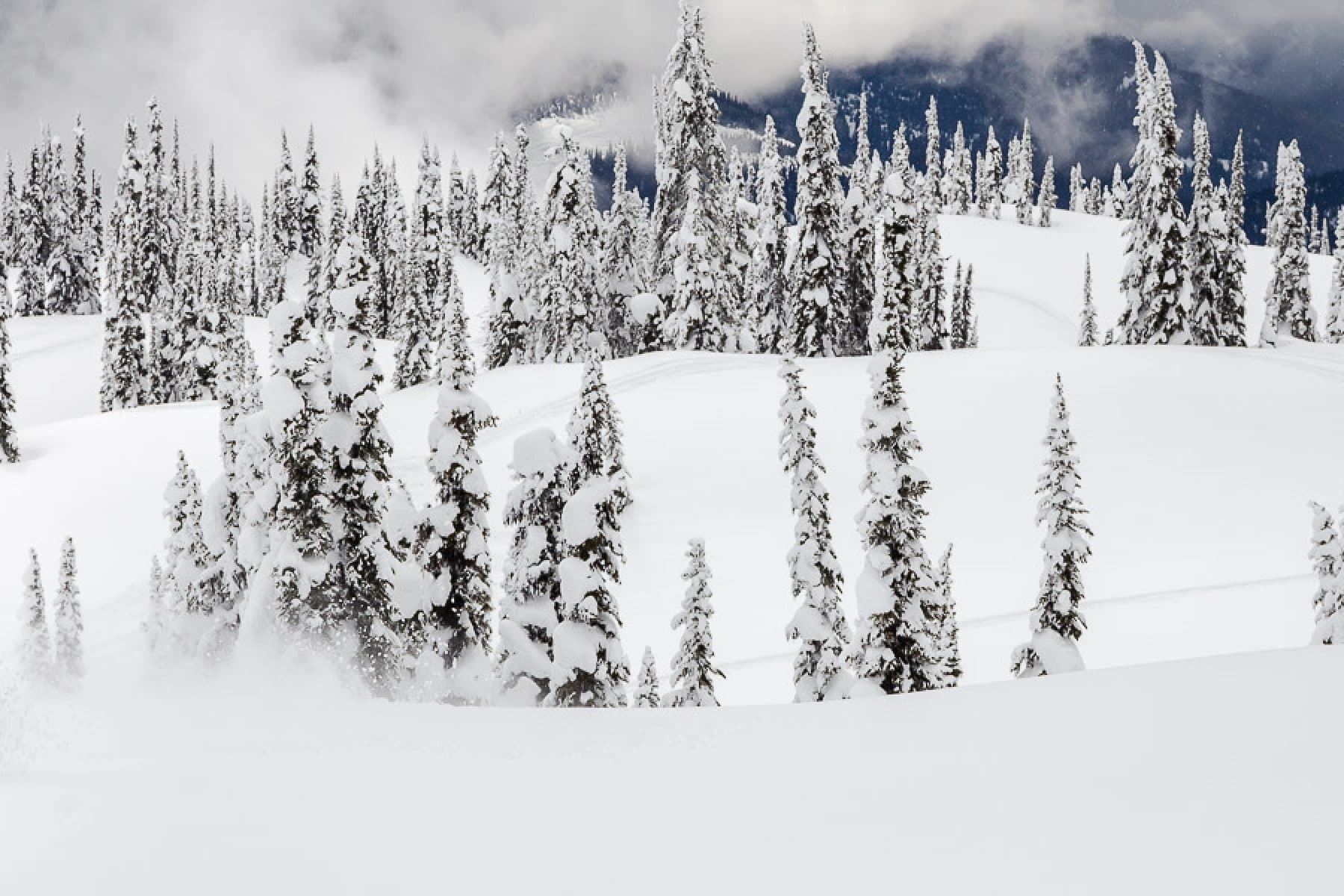 Snowmobiling in Revelstoke BC | Mountain Sledder