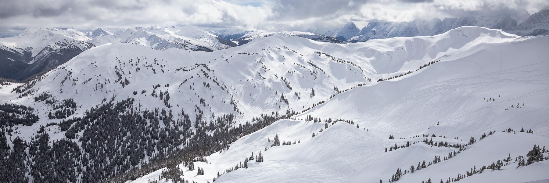 Golden, BC | Mountain Sledder