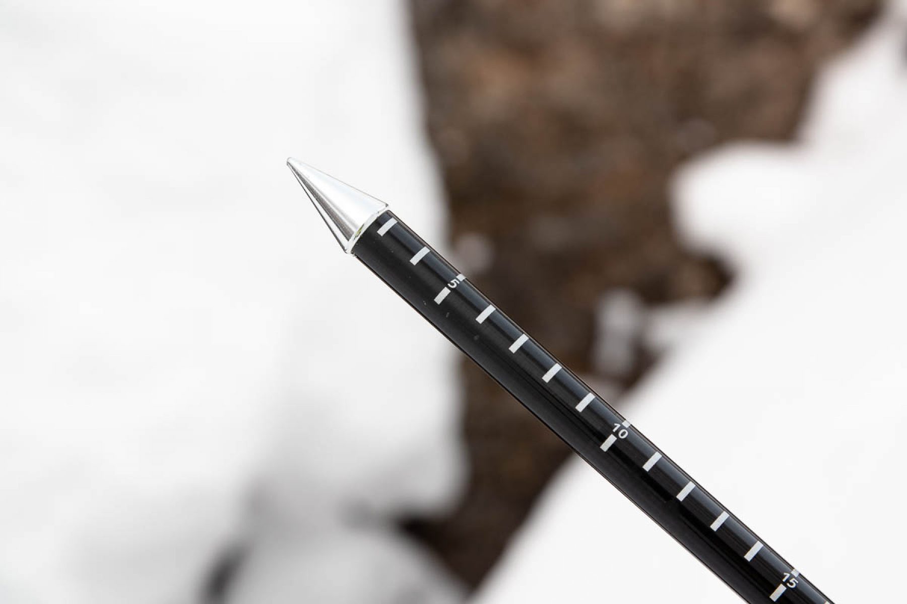 What is the PIEPS iPROBE??