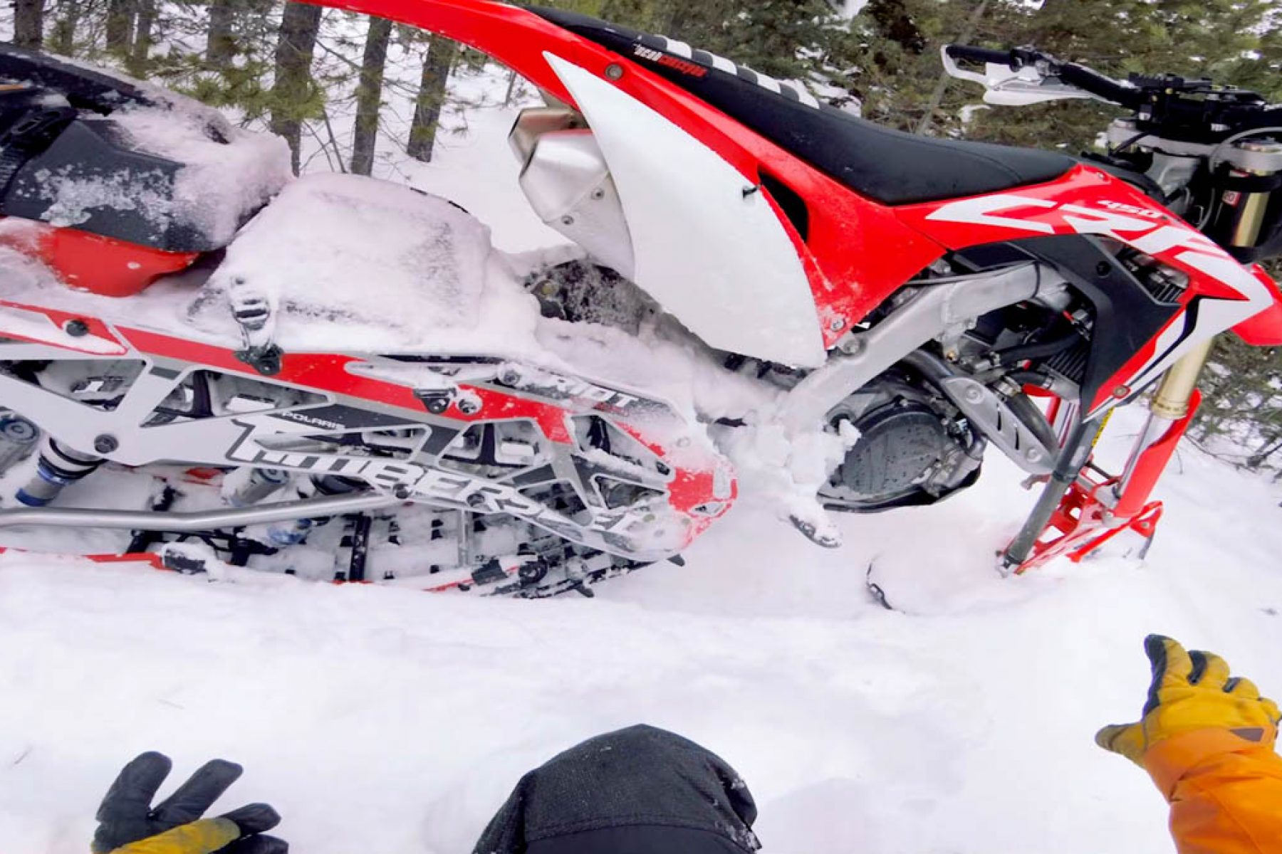 TImbersled Showdown! 01 | Mountain Sledder