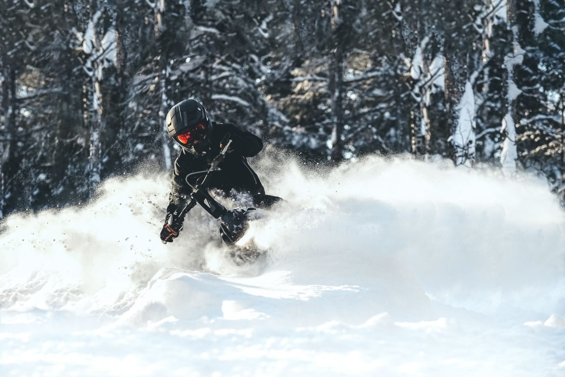 Widescape WS250 Snowmobile_ | Mountain Sledder